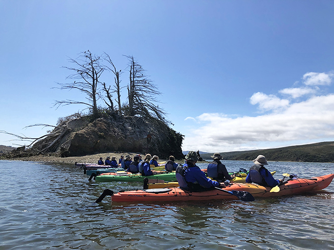 Kayakers glide through Tomales Bay like a peaceful armada, discovering that the best way to experience water is by being on it.