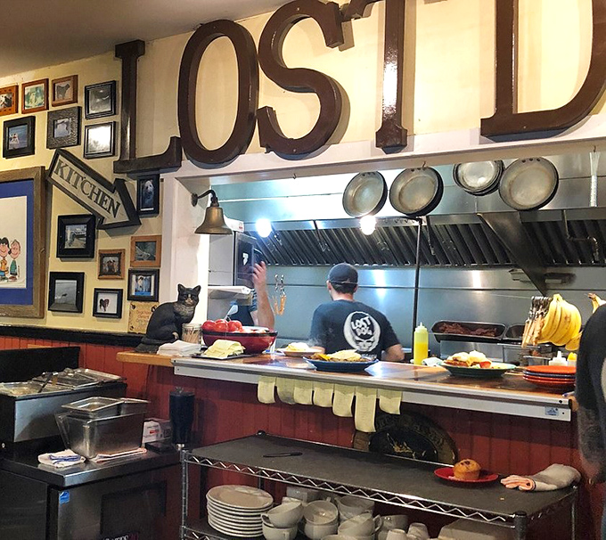 A glimpse into the kitchen magic—and is that a cafe cat supervisor I spot? Even the cooking area celebrates the dog theme.