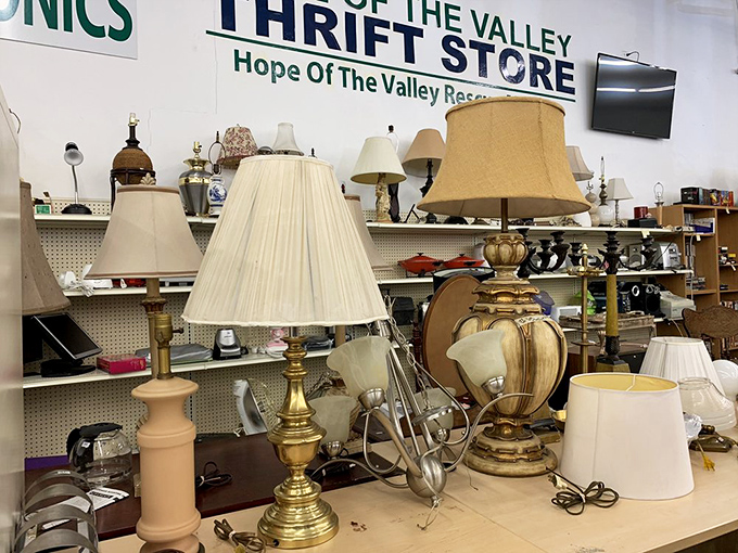 Lamp section: where lighting fixtures from six different decades compete in a beauty pageant of illumination possibilities.