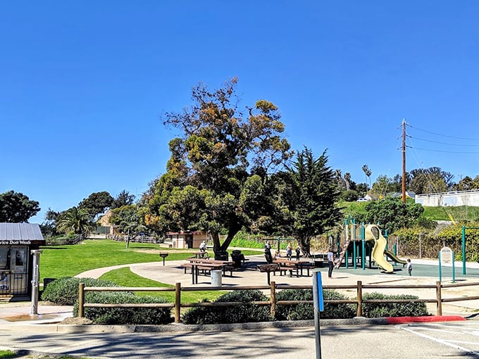 Lookout Park delivers exactly what its name promises – a perfect vantage point for ocean gazing, picnicking, and pretending you live here.
