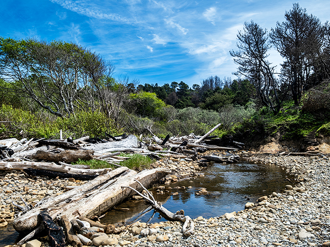 Where forest meets ocean in perfect harmony. This lush creek valley provides a verdant contrast to the beach's stark mineral beauty.