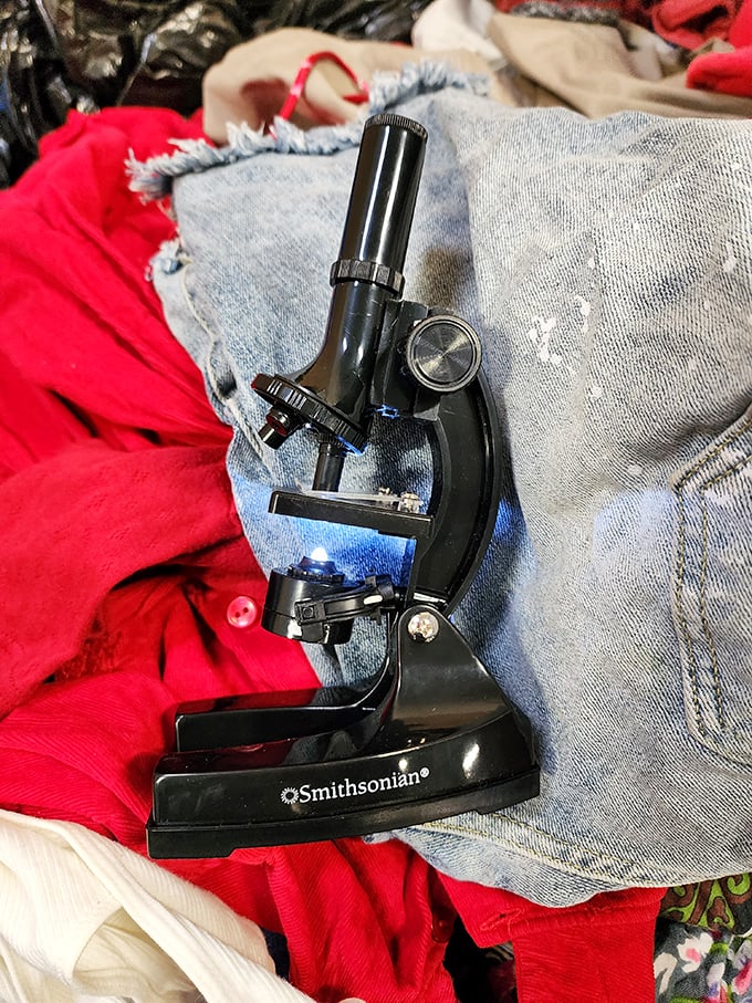 A Smithsonian microscope nestled between denim and cotton—where science meets fashion in the ultimate intellectual bargain.