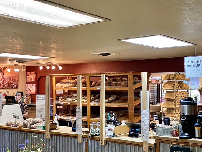 Behind this counter, magic happens daily as flour transforms into pure happiness and satisfaction.