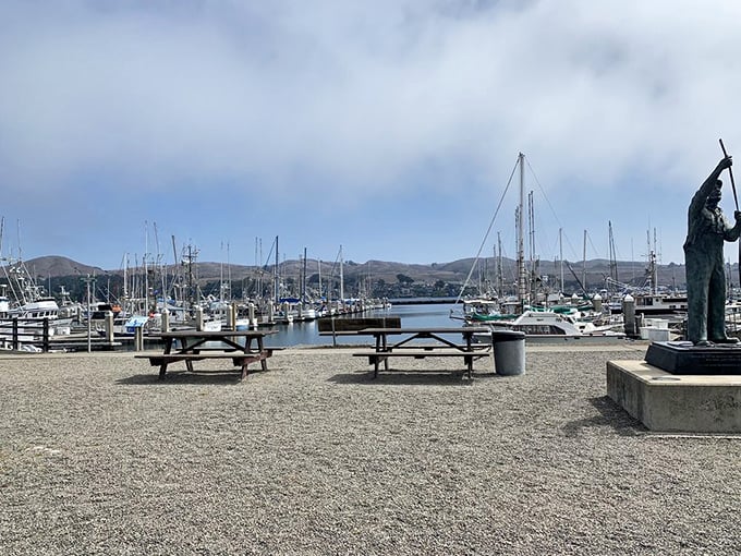 Harbor views and picnic tables – nature's dining room where the sea breeze serves as both ambiance and appetizer.