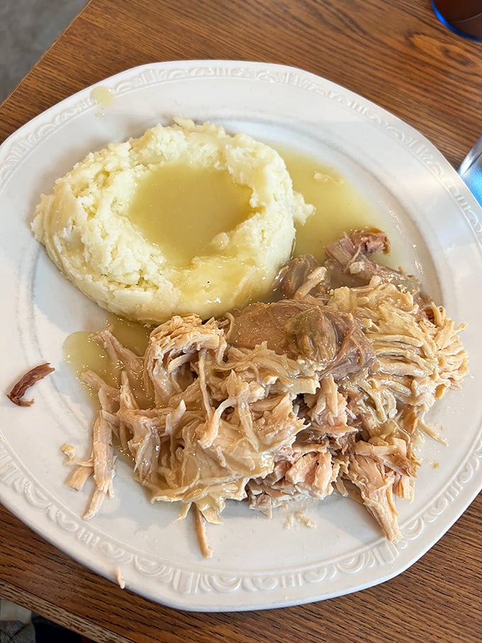 Pulled pork and mashed potatoes swimming in gravy—a plate that whispers, "Nap time soon." Comfort food that delivers on its promise.