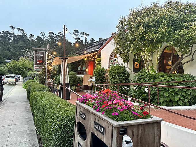 Robin's Restaurant garden patio—where California cuisine meets global inspiration under a canopy of twinkling lights and evening stars.
