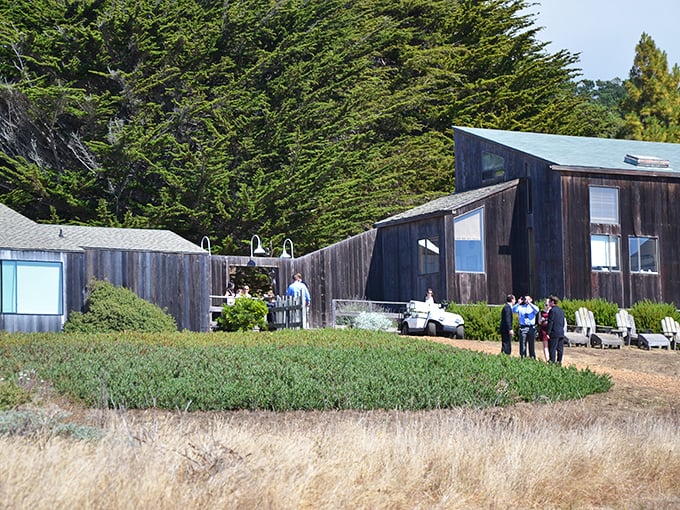 The weathered wood exteriors of Sea Ranch buildings age like fine wine—getting more character with each passing year.
