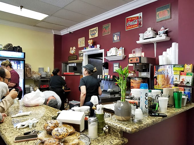 The kitchen counter—where magic happens and diet plans go to die. Worth every delicious calorie.