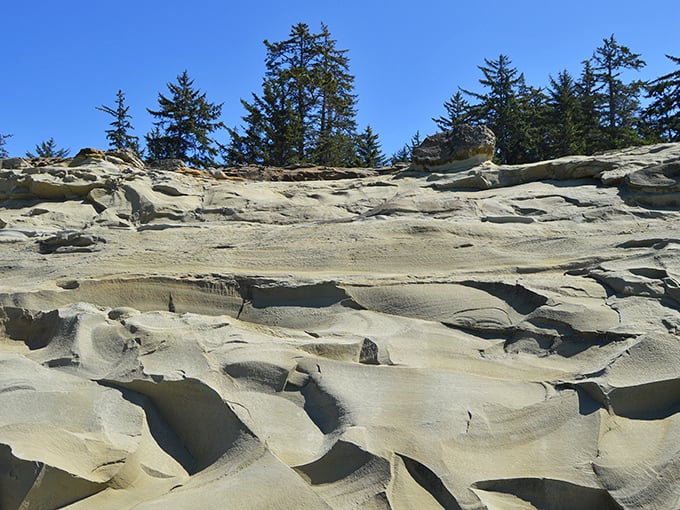 These wind and water-sculpted sandstone formations tell geological stories spanning millennia. Mother Nature's abstract art gallery doesn't require admission tickets.