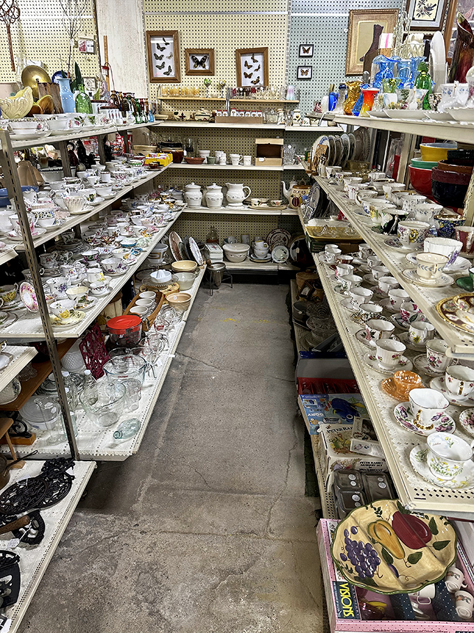 The teacup aisle—where your pinky finger instinctively extends and you suddenly remember every proper tea party from your childhood.