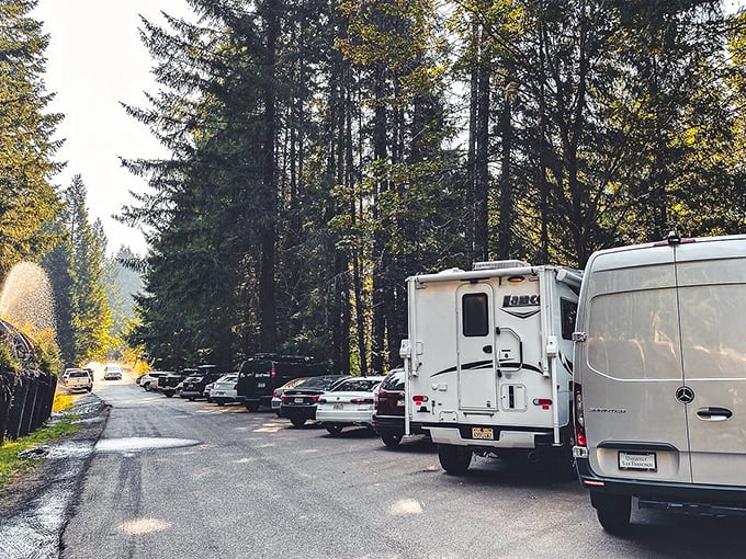 Adventure central! The parking area fills early because word's out—this is where you leave your car and find your wonder.