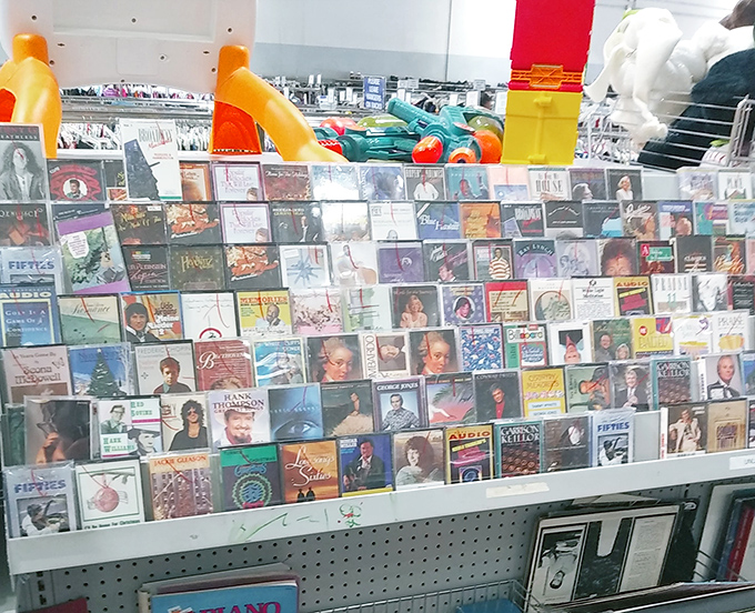 A rainbow of cassette spines creates an accidental art installation—musical history preserved in plastic and magnetic tape.