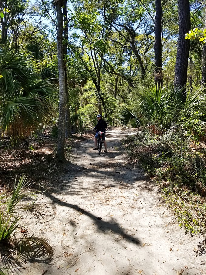 Biking through a maritime forest tunnel where the sunlight dapples through like nature's own disco ball—no glitter necessary.