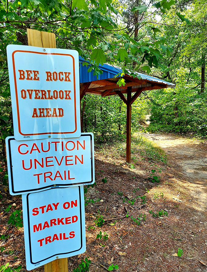 The sign that separates the "I'm just here for the Instagram photo" folks from those seeking genuine adventure. Choose your own path.