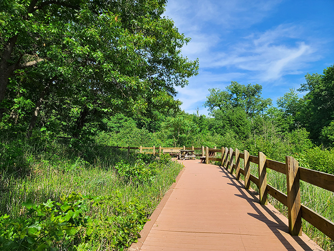 A pathway through paradise. These well-maintained trails invite exploration through diverse ecosystems, each bend promising new discoveries.