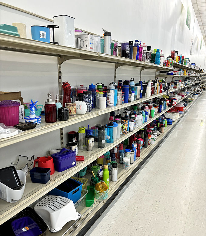The water bottle aisle—where hydration meets personality! Hundreds of tumblers, thermoses, and containers stand at attention, ready for new adventures.