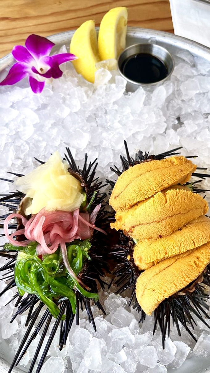 Sea urchin presented with the reverence it deserves – ocean butter that makes you understand why chefs get poetic about uni.