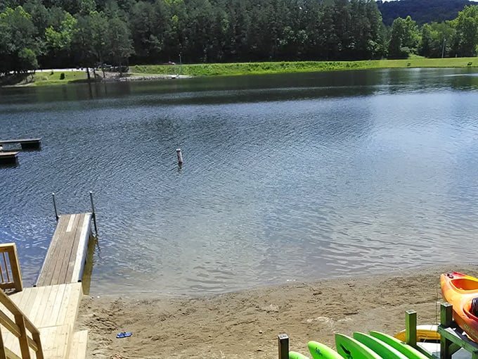 Sandy shores meet clear waters at Lake Hope's beach. No sharks, no jellyfish, just pure freshwater swimming bliss.