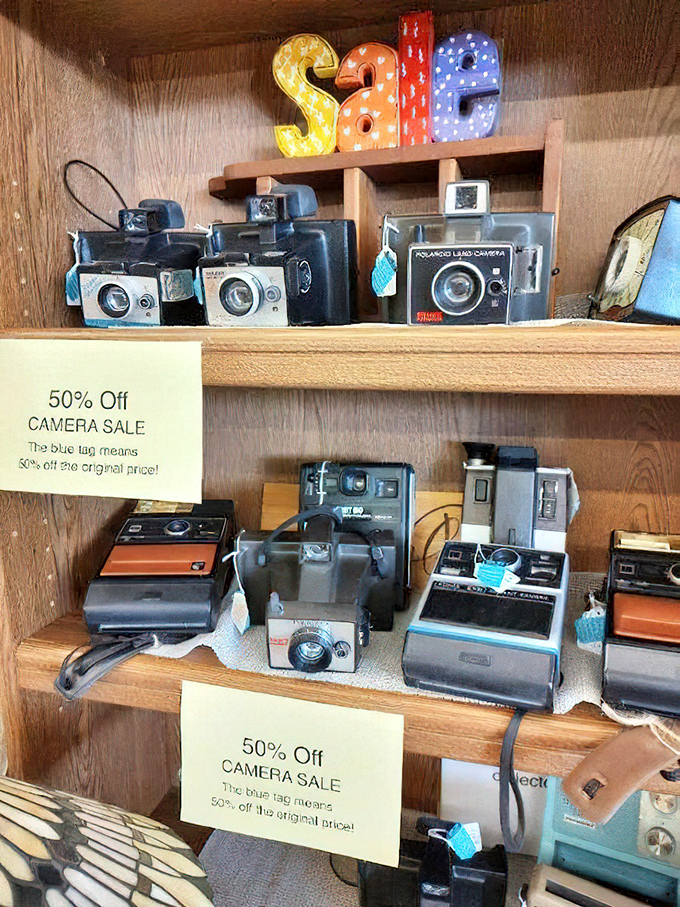 Vintage cameras await new owners—these mechanical marvels captured memories long before "selfie" became part of our vocabulary.