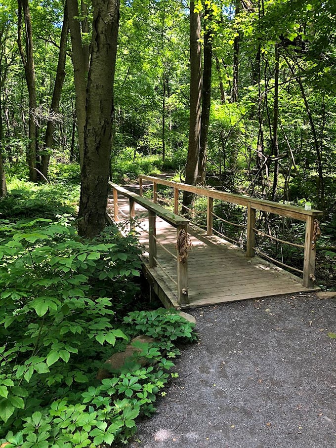 Nature trails and wooden footbridges connect Lock Haven residents to Pennsylvania's lush woodlands – free therapy courtesy of Mother Nature herself.