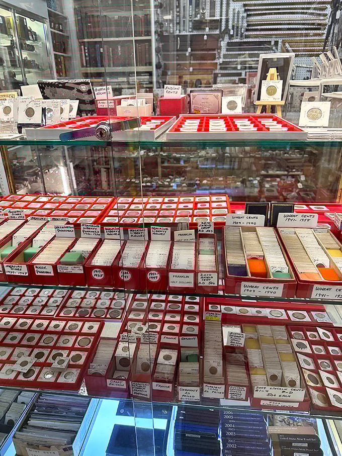 Numismatist heaven! These coin collections represent pocket-sized pieces of American history, each with its own story of circulation and preservation.