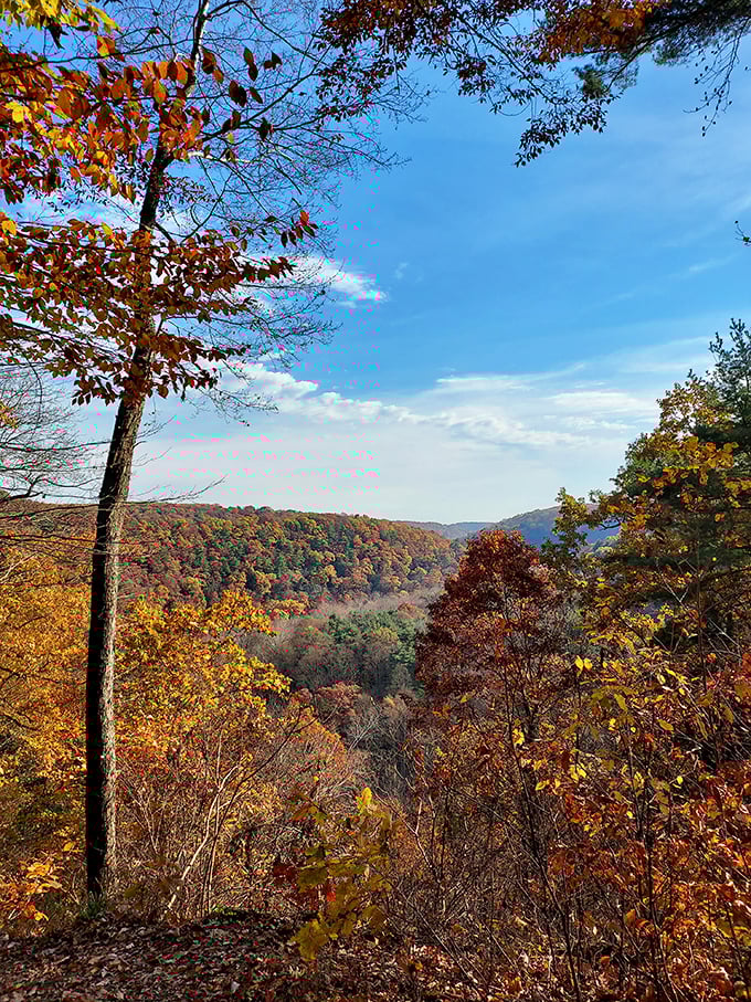 Fall in Mohican isn't just a season – it's a spectacular performance where every tree competes for the title of "Most Dramatically Colorful."