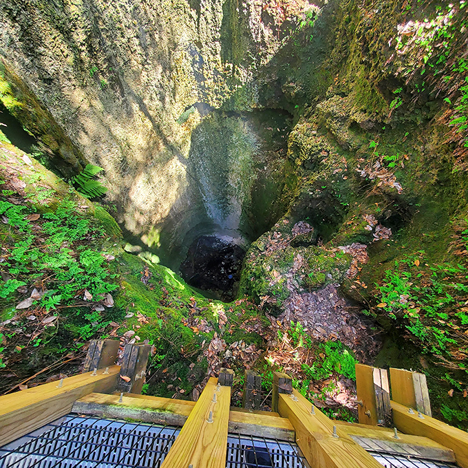 The dramatic finale – peering down into this moss-lined sinkhole feels like discovering a secret portal to another world entirely.
