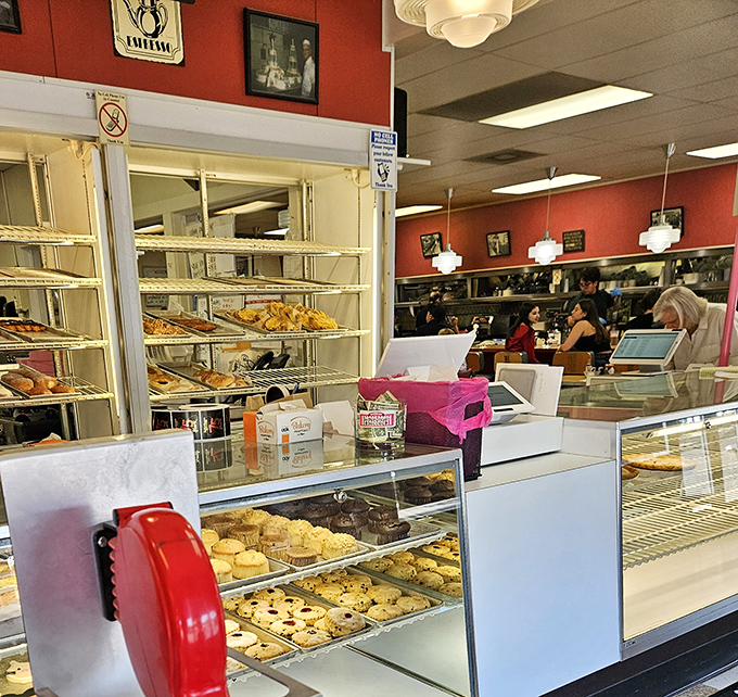 The pastry counter—where willpower goes to die and "I'll just have one" becomes the day's biggest fiction.
