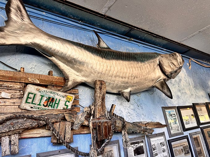 That tarpon on the wall isn't just decoration—it's the bouncer keeping an eye on things. Even the fish here have attitude.