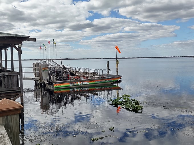 Your chariot to wilderness awaits. The colorful airboat sits ready at the dock, promising high-speed adventures through Florida's pristine wetlands.