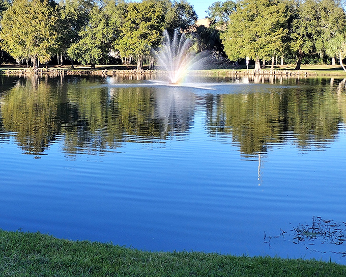 Fountains dance in crystal blue waters while oak trees stand guard – nature's own meditation app come to life.