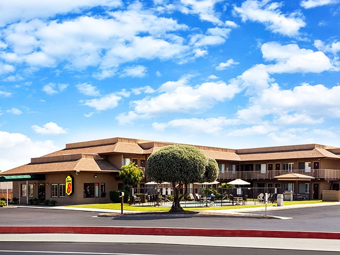 Local accommodations offer comfortable stays without the boutique hotel prices that make your wallet weep uncontrollably.