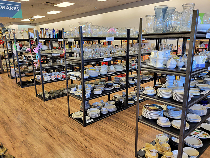 Kitchen gadgets and home essentials transform ordinary spaces into extraordinary havens of comfort and style.