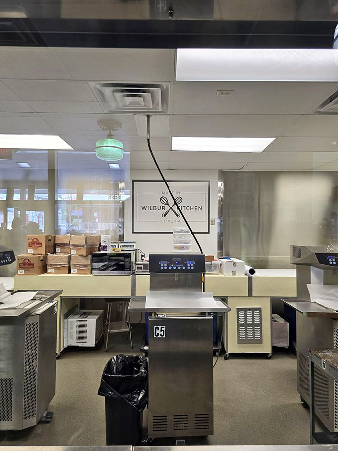 Behind glass, the Wilbur Kitchen reveals the machinery of joy—where chocolate dreams are manufactured with clinical precision and artistic soul.