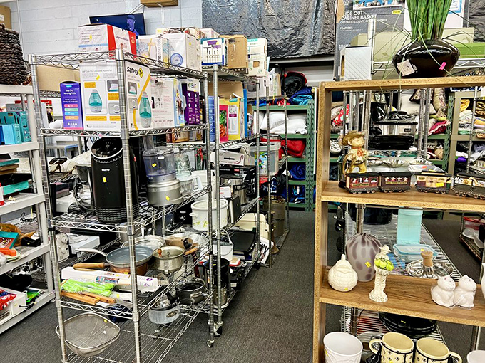 Kitchen gadgets and small appliances stand at attention, from coffee makers to crock pots, ready to prove they've still got what it takes to make dinner magic.
