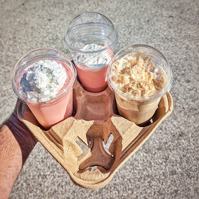 The three musketeers of milkshake perfection, nestled in their cardboard chariot, ready to transform any bad day into a moment of creamy contemplation.
