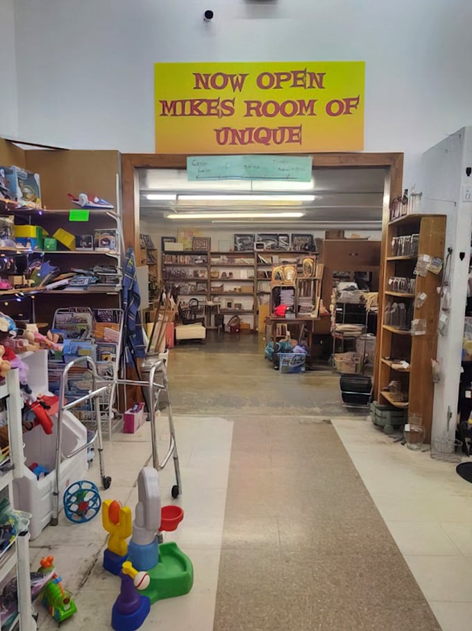 Mike's Room of Unique – where the treasure hunt continues with even more eclectic finds. The rabbit hole goes deeper!
