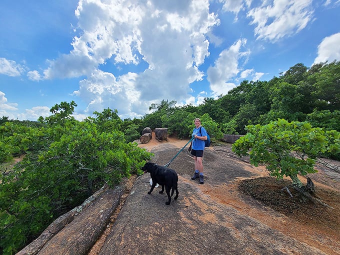 Even four-legged explorers appreciate the park's wonders—this happy pup seems just as impressed with the ancient landscape as its human companions.
