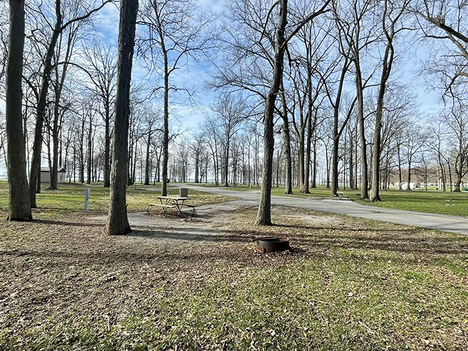 This picnic area practically whispers, "Bring your sandwich here and I'll make it taste twice as good" – nature's dining room awaits.