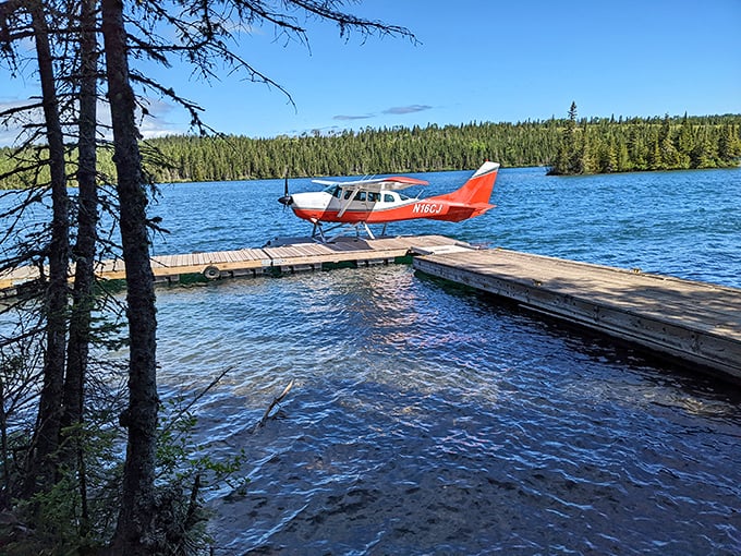 Your first-class ticket to isolation. Seaplanes offer a bird's-eye introduction to Isle Royale's wilderness, landing on inland lakes where roads will never reach.
