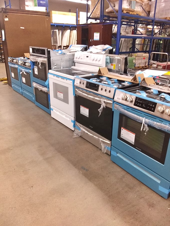 Blue is the new stainless! These ranges and ovens await their chance to help home chefs whip up everything from holiday feasts to weeknight dinners.