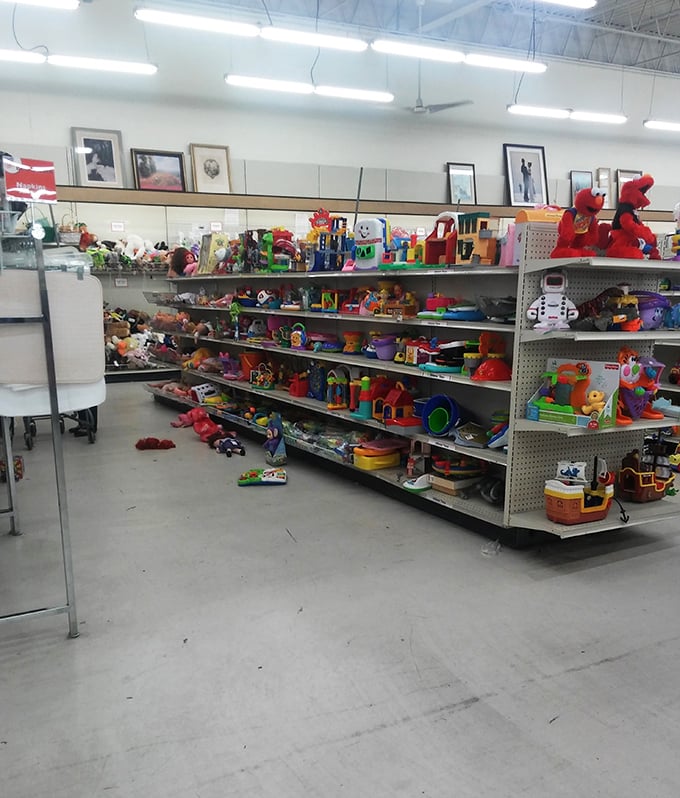 The toy section – where childhood memories are recycled and plastic joy awaits its next adventure.