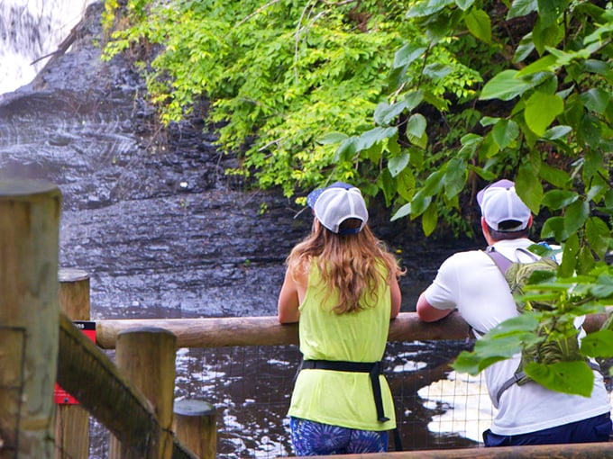 Some views are worth sharing—even with your four-legged hiking buddy. This overlook delivers panoramic perfection that no smartphone camera can fully capture.