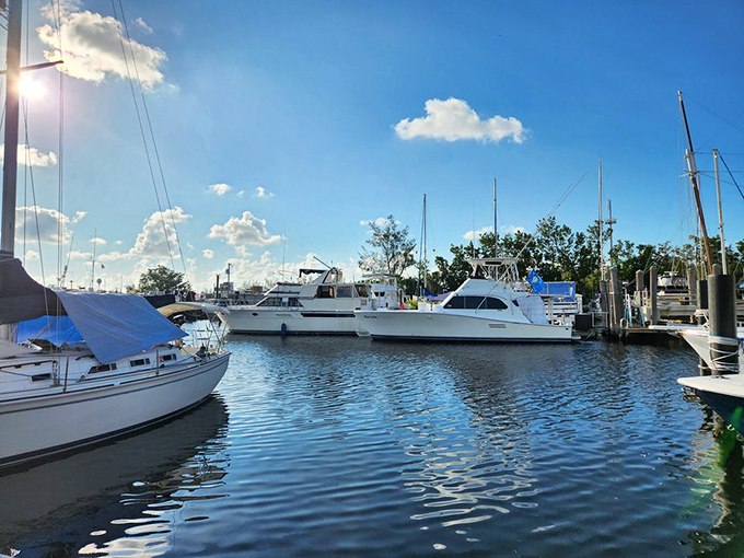 The view from your table isn't just scenery—it's dinner's backstory. Those boats didn't park here for the ambiance; they're working vessels bringing tonight's specials.