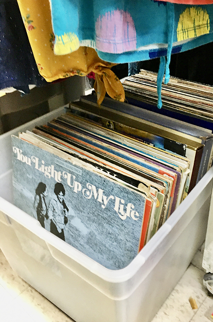 Vinyl records nestled in plastic bins—analog treasures in a digital world. That "You Light Up My Life" album might just complete your ironic collection.