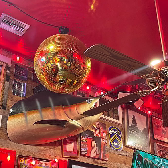 Where else can you dine beneath a disco ball and a marlin? It's Studio 54 meets Old Man and the Sea, and somehow it works perfectly.
