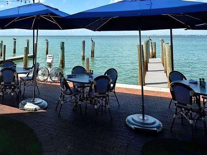 Waterfront dining that's not just a view but a full sensory experience—pelicans might judge your food choices from those wooden posts.