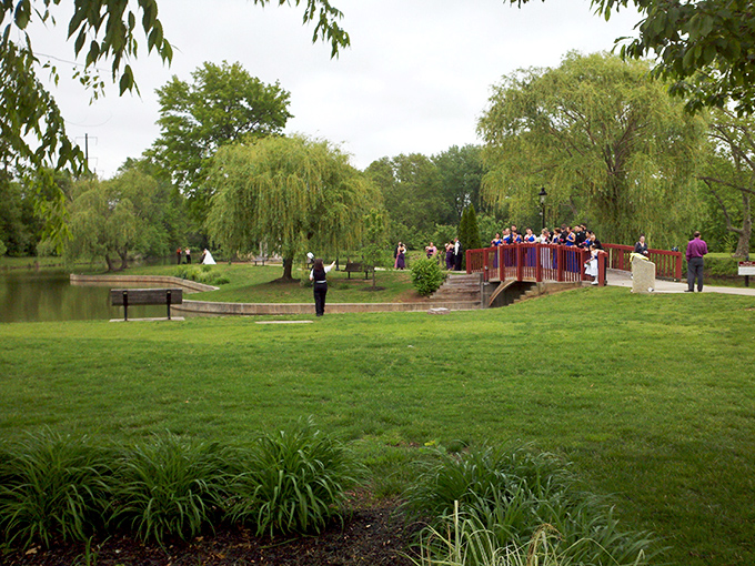 The park transforms into a romantic backdrop for special occasions. Even the willow trees seem to be celebrating.