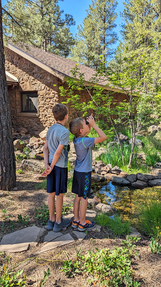 Young explorers discover that binoculars make everything more exciting – especially when there's actual wildlife to spot nearby.
