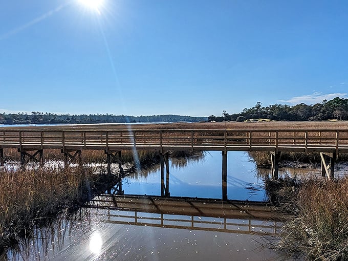Vereen Memorial Gardens: Wooden boardwalks lead you through coastal marshes where land and sea engage in their eternal dance.